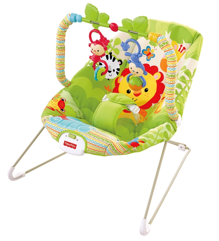 Porque que Amo o Baby Bouncer. – Dra. Denise Gomes